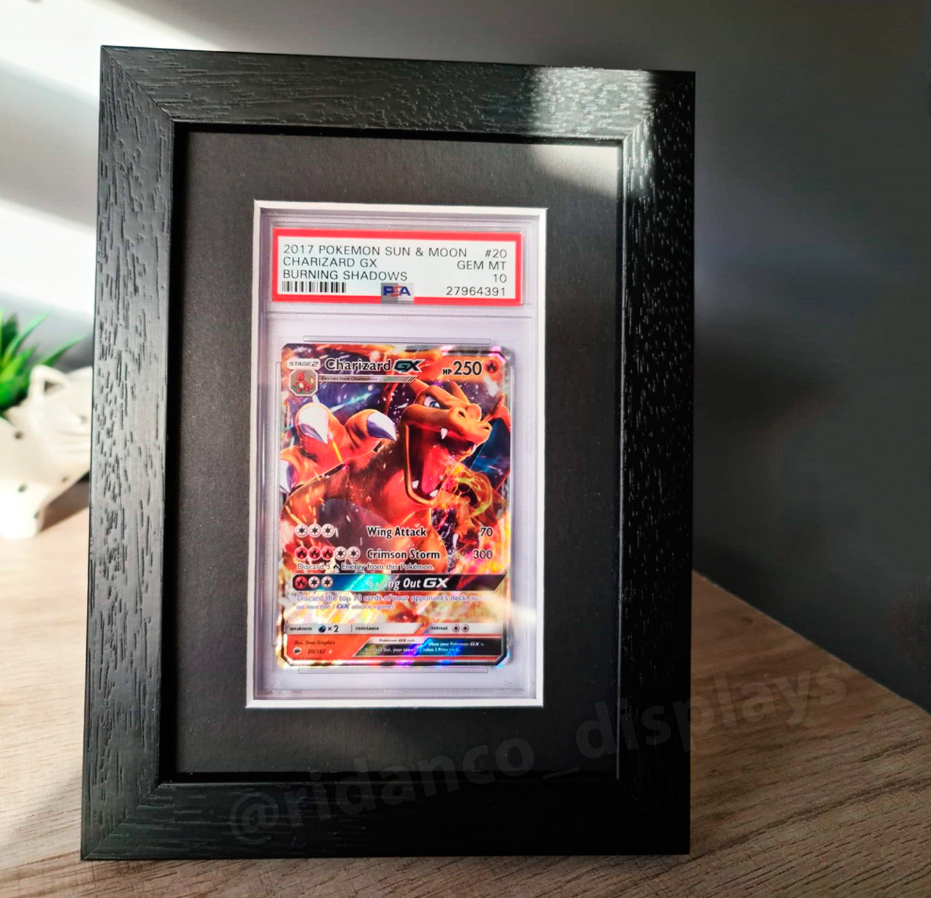 Premium Graded Slab Frames – Ridanco Displays